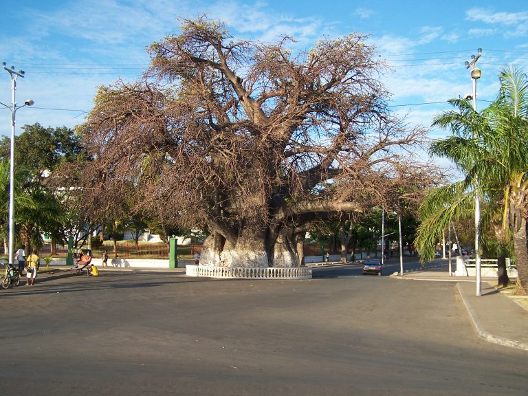 La ville - Majunga tourisme madagascar