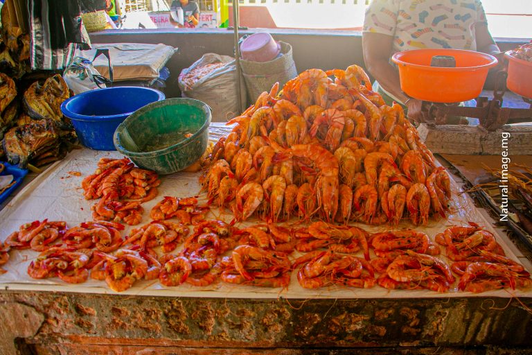 La ville - Majunga tourisme madagascar