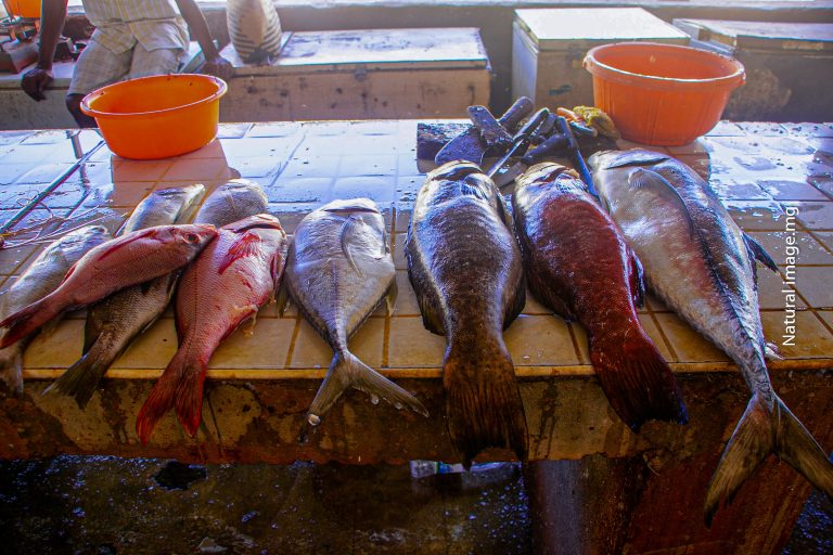 La ville – Majunga tourisme madagascar