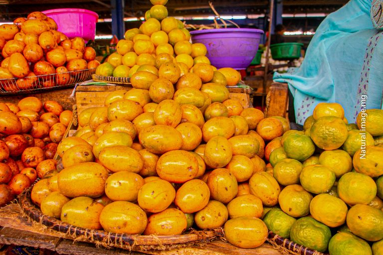 La ville - Majunga tourisme madagascar